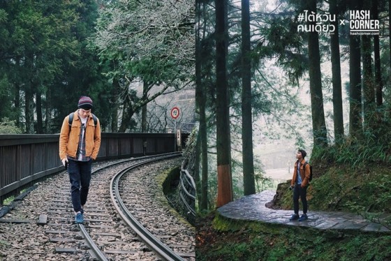 รีวิว อาลีซาน (Alishan) เที่ยวไต้หวัน ทั่วประเทศ! – HashCorner