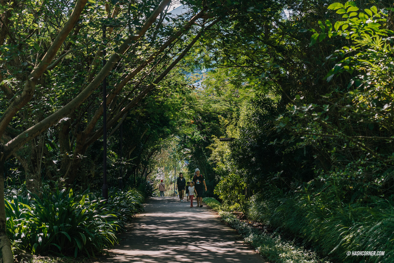 รีวิว Gardens By The Bay / Flower Dome และ Cloud Forest สิงคโปร์ – HashCorner