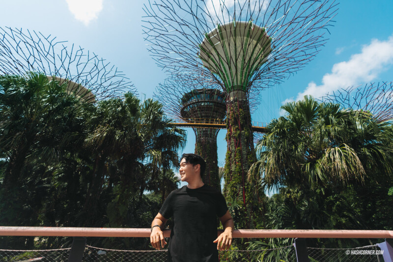 รีวิว Gardens By The Bay / Flower Dome และ Cloud Forest สิงคโปร์ – HashCorner