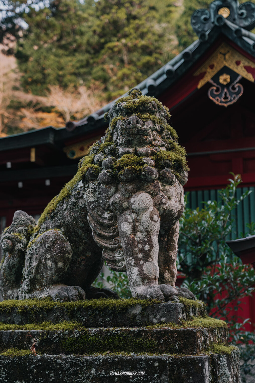 รีวิว ฮาโกเน่ (Hakone) x ญี่ปุ่น เที่ยวเมืองภูเขาไฟทะเลสาบ – HashCorner