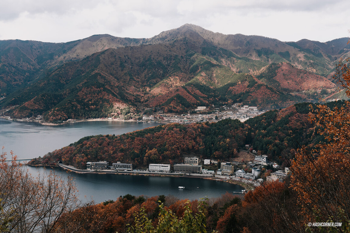 รีวิว สวนเท็นโจซัง (Tenjozan Park) x คาวากุจิโกะ ขึ้นกระเช้าลอยฟ้าชมวิวต้าวฟูจิ – HashCorner