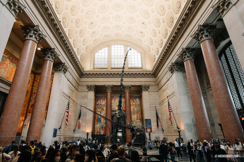 รีวิว American Museum of Natural History x นิวยอร์ก อเมริกา – HashCorner