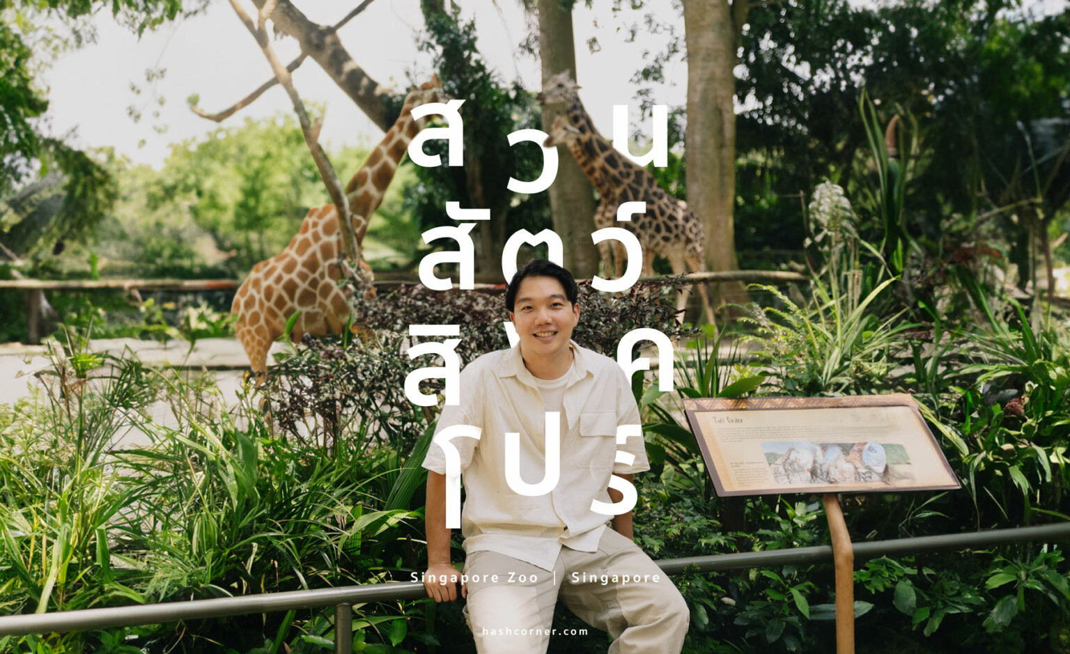 รีวิว Singapore Zoo x สิงคโปร์ เที่ยวส่องสวนสัตว์สิงคโปร์ – HashCorner