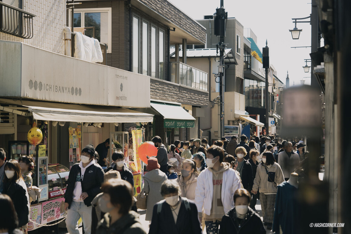 รีวิว ถนนโคมาจิโดริ (Komachi Dori Street) x คามาคุระ ช้อปปิ้งย่านเมืองเก่า – HashCorner