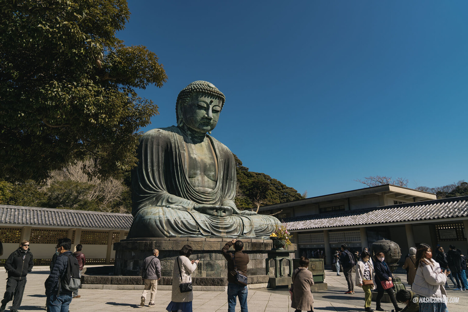 รีวิว คามาคุระ (Kamakura) เที่ยวไหว้พระใหญ่ไดบุตซึ – HashCorner