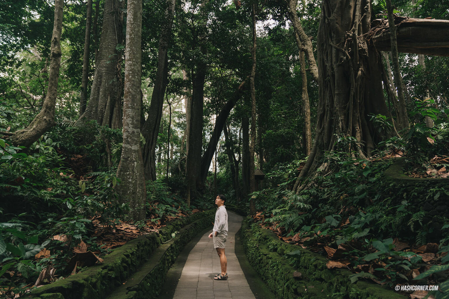 รีวิว อูบุด (Ubud) x บาหลี เที่ยวป่าลิง นาขั้นบันได และวัดศักดิ์สิทธิ์ – HashCorner