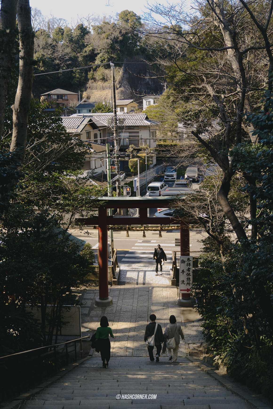 รีวิว ศาลเจ้าสึรุงะโอกะ ฮาจิมังกู (Tsurugaoka Hachimangu) x คามาคุระ – HashCorner