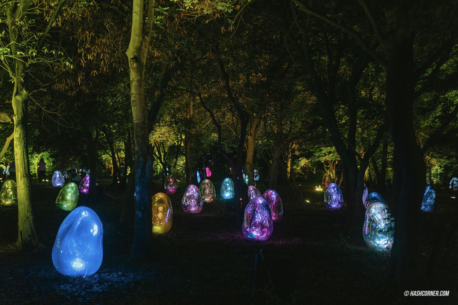 รีวิว teamLab Botanical Garden Osaka x โอซาก้า งานอาร์ทคูลๆ ในสวน ...