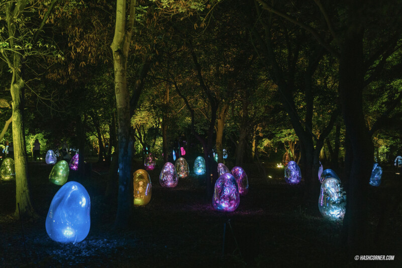 รีวิว teamLab Botanical Garden Osaka x โอซาก้า งานอาร์ทคูลๆ ในสวน ...
