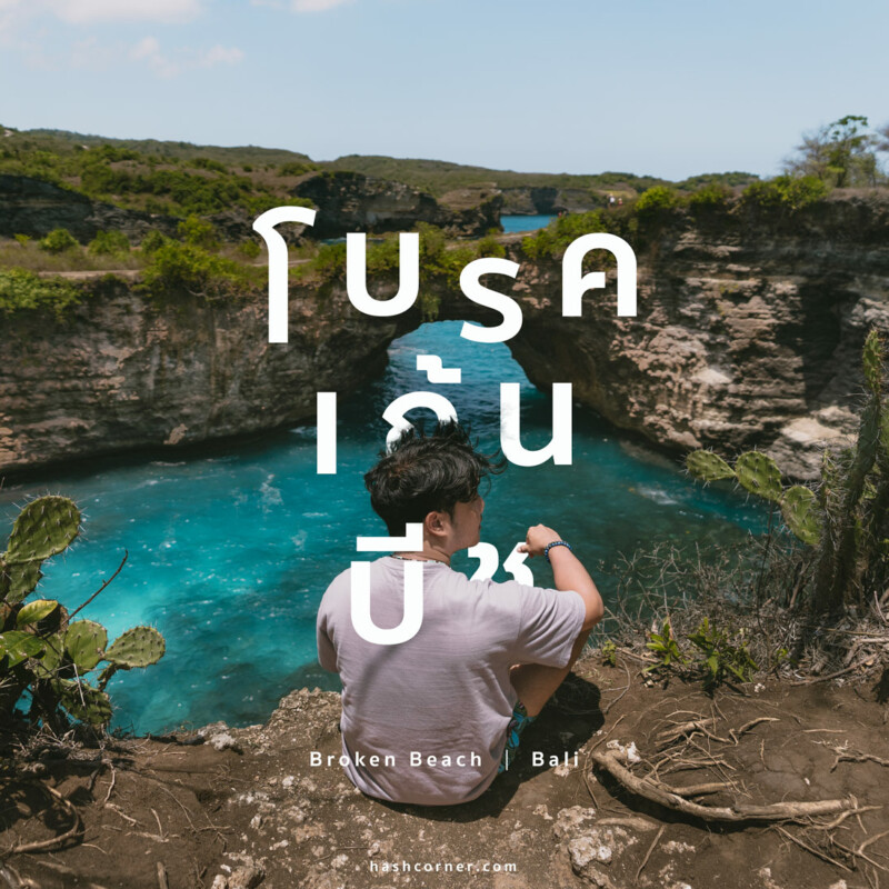 รีวิว บ้านต้นไม้ รูมะห์โปฮน (Rumah Pohon Tree House) x เกาะนูซาเปอนีดา – HashCorner