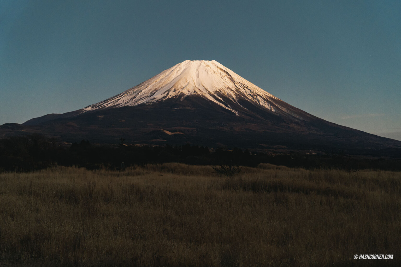 รีวิว ชิซึโอกะ (Shizuoka) x ญี่ปุ่น เที่ยวเมืองฟูจิซังและไร่ชา – HashCorner