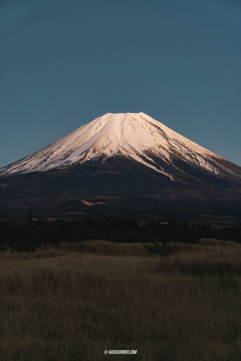 รีวิว ชิซึโอกะ (Shizuoka) x ญี่ปุ่น เที่ยวเมืองฟูจิซังและไร่ชา – HashCorner