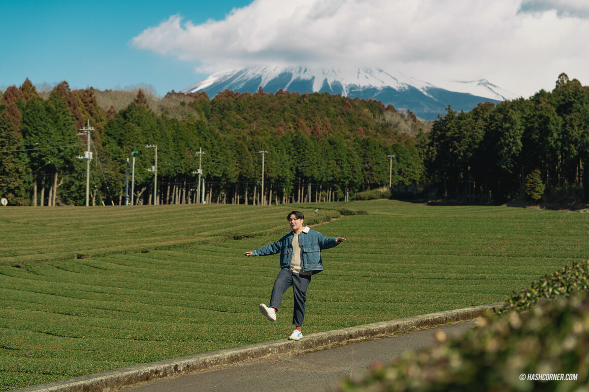 Shizuoka Japan: The Ultimate Travel Guide to the Best Mt. Fuji Views ...