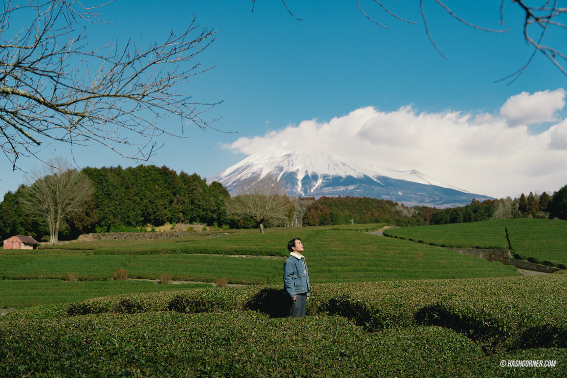 Shizuoka Japan: The Ultimate Travel Guide to the Best Mt. Fuji Views ...