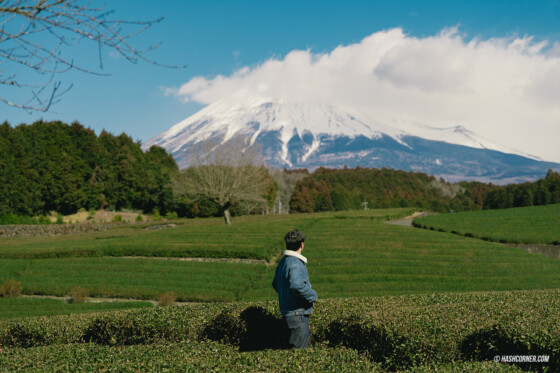 Shizuoka Japan: The Ultimate Travel Guide to the Best Mt. Fuji Views ...