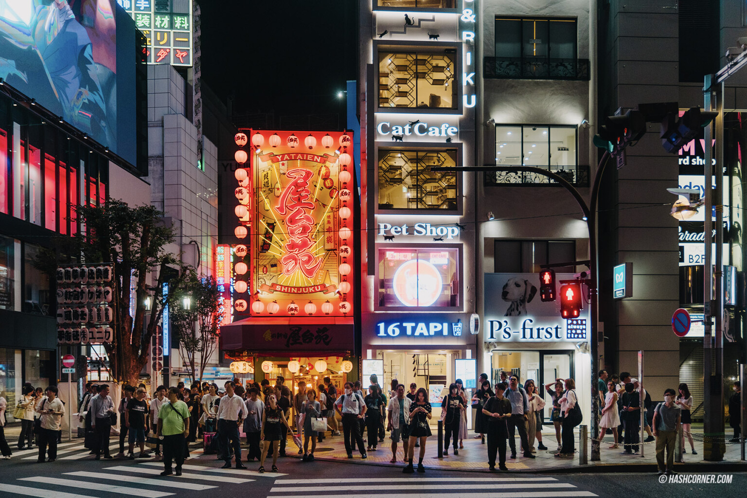 รีวิว ชินจูกุ (Shinjuku) x โตเกียว ย่านบันเทิง กินดื่มครบ! – HashCorner